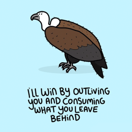 100-grumpy-animals-by-beast-flaps-10 - Share Troopers