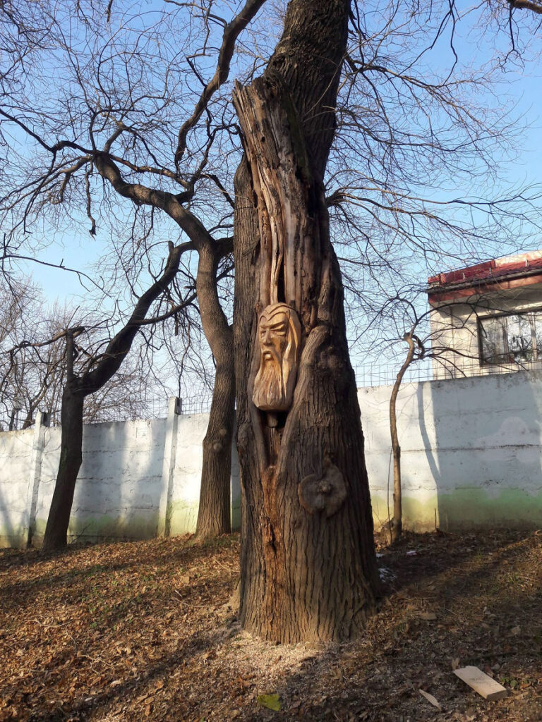 Romanian Sculptor Uses A Chainsaw To Carve Trees Into Stunning Works Of ...